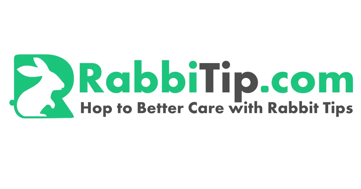 Rabbit Safety & Environment - Rabbitip.com